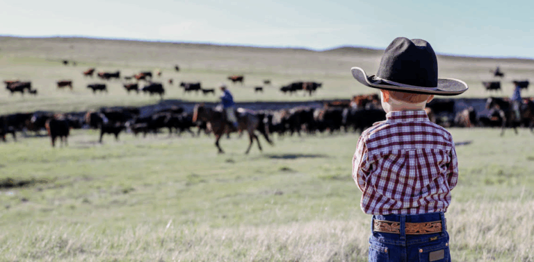 Exploring Circular Economy in Beef Production at Denver Stock Show ...